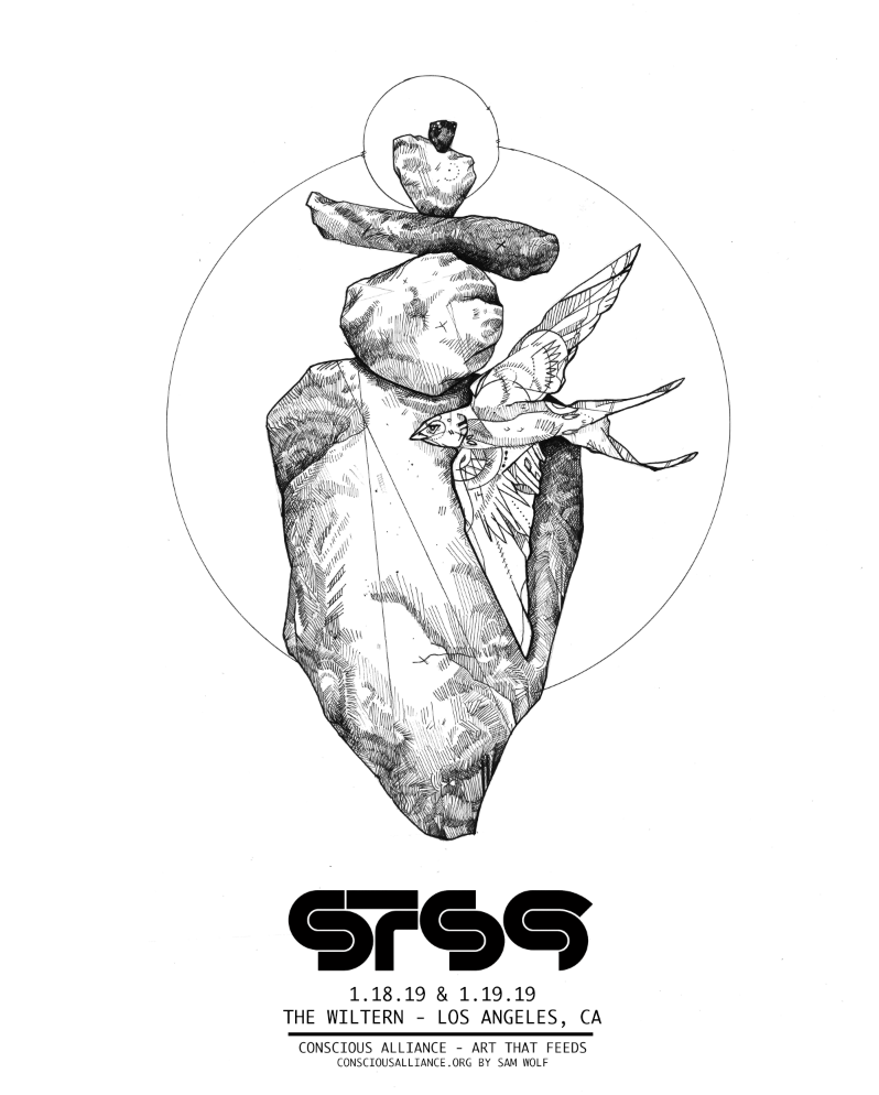 STS9 California Regular Variant Set - 2019 — Conscious Alliance